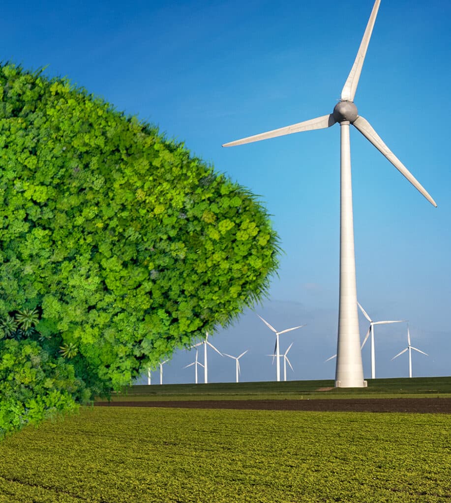 Abu Dhabi Commercial Bank – Egypt | ADCB Egypt